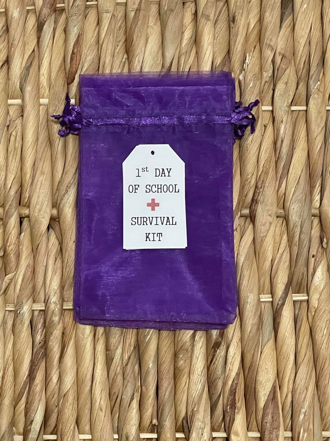 1st Day of School Bags and Tags School Organza Bag Favors - Etsy