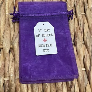 1st Day of School Bags and Tags, School Organza Bag Favors, 1st Day of ...