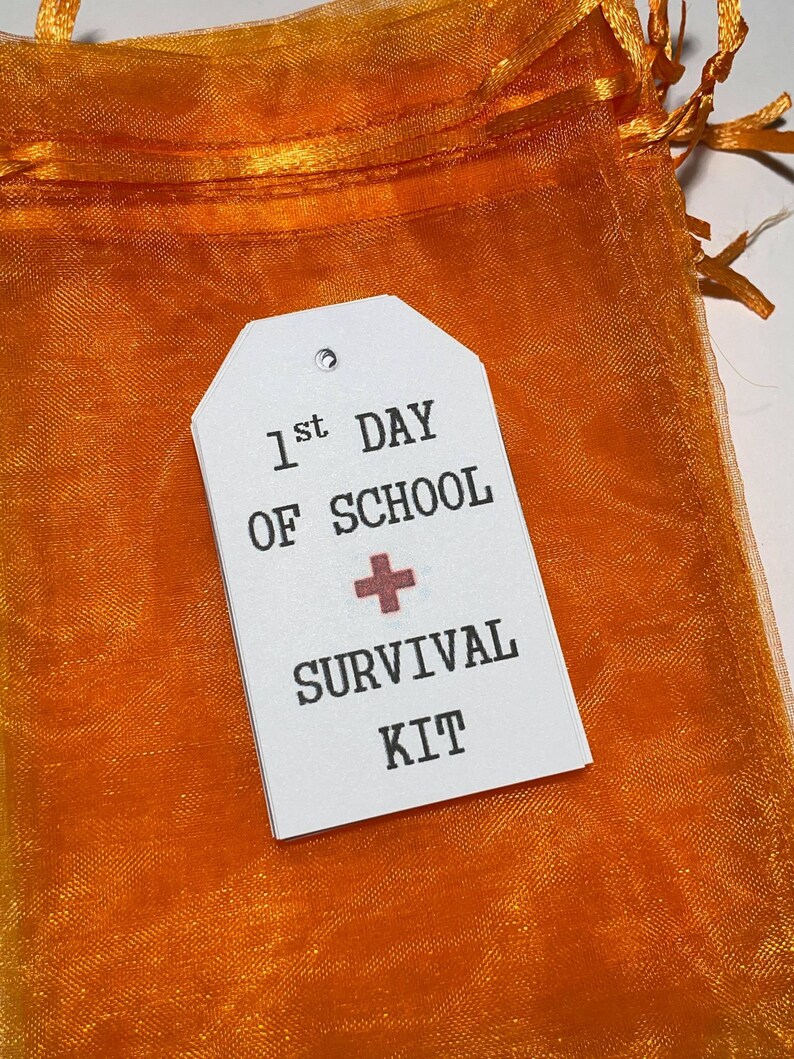 1st Day of School Bags and Tags School Organza Bag Favors - Etsy