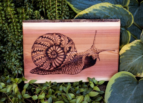 Pyrography on Live Edge Wood Wood Burning Wood Burned - Etsy