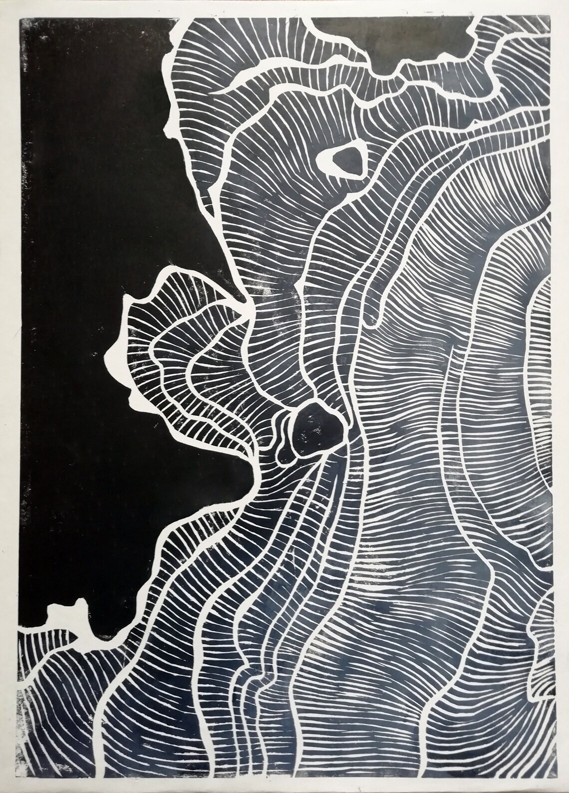 Natural Forms Linocut Print: Abstract Wall Decor - Etsy