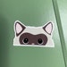Peeking Cat Sticker - Etsy