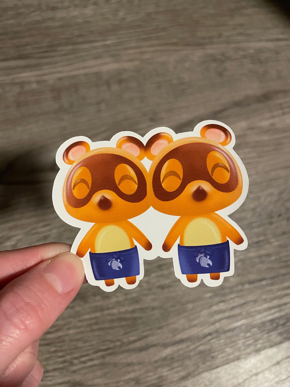 Racoon Brothers Aufkleber Timmy & Tommy ACNH Premium | Etsy