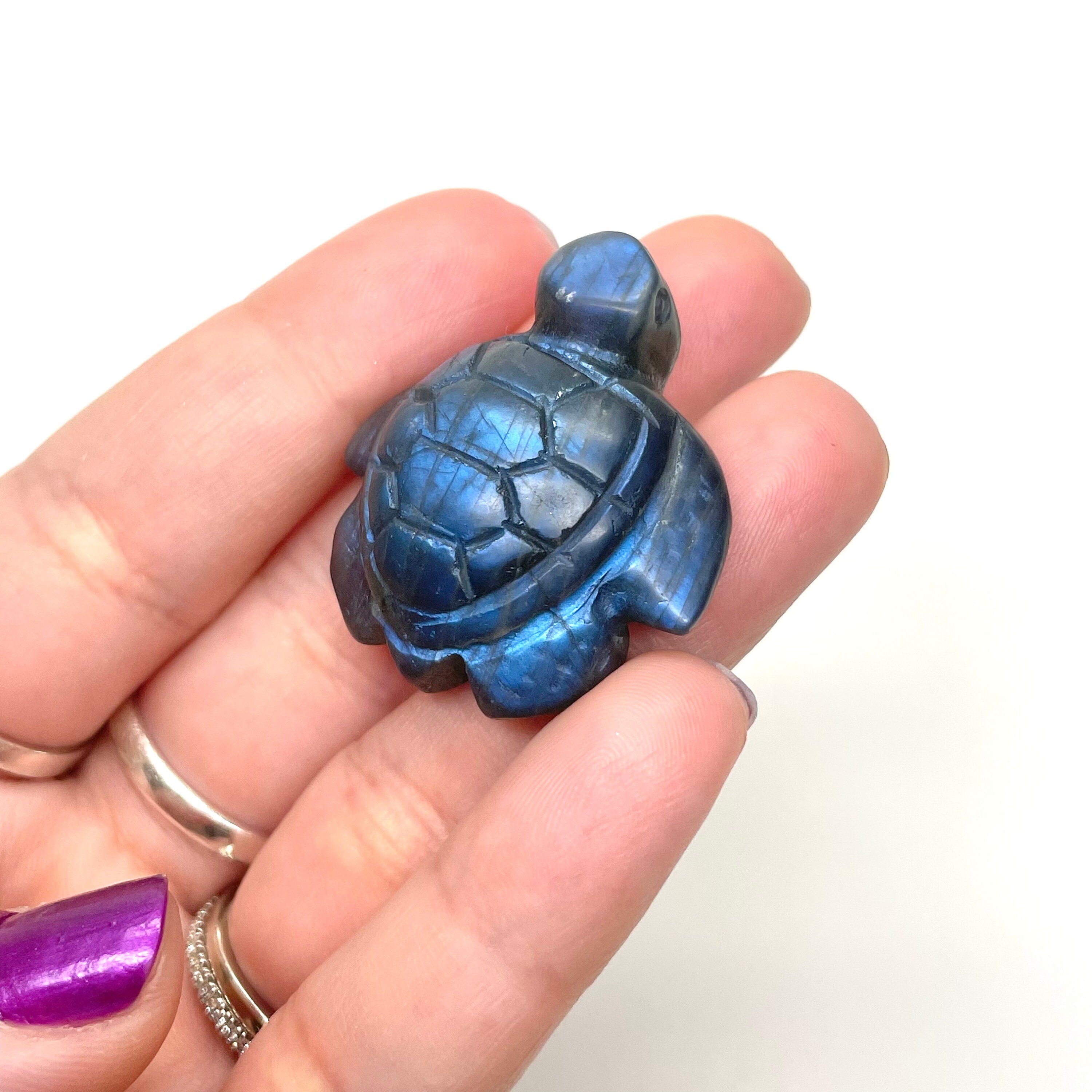 Speaking Strength Rare Dual Flash Royal Blue Labradorite Sea Turtle ...