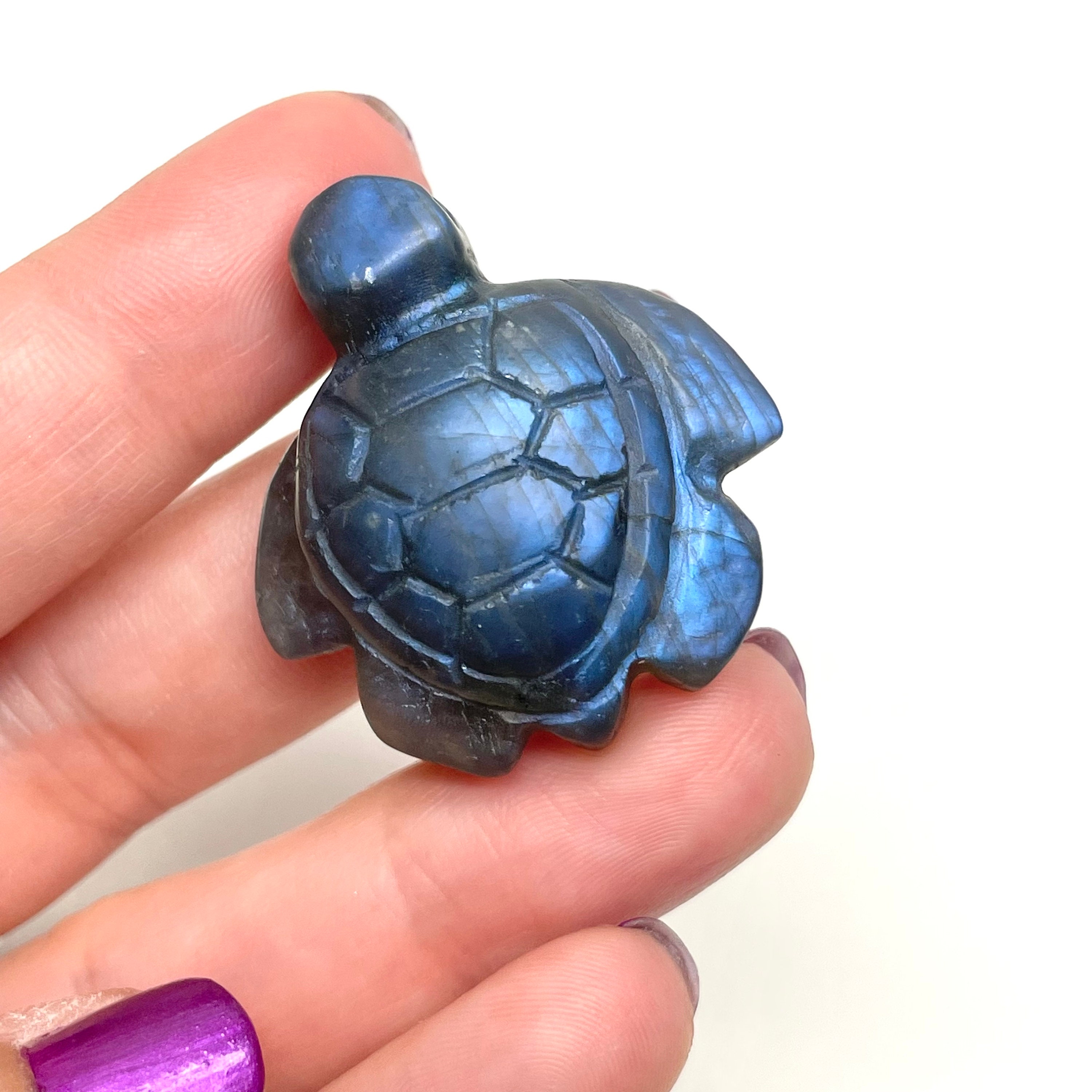 Speaking Strength Rare Dual Flash Royal Blue Labradorite Sea Turtle ...