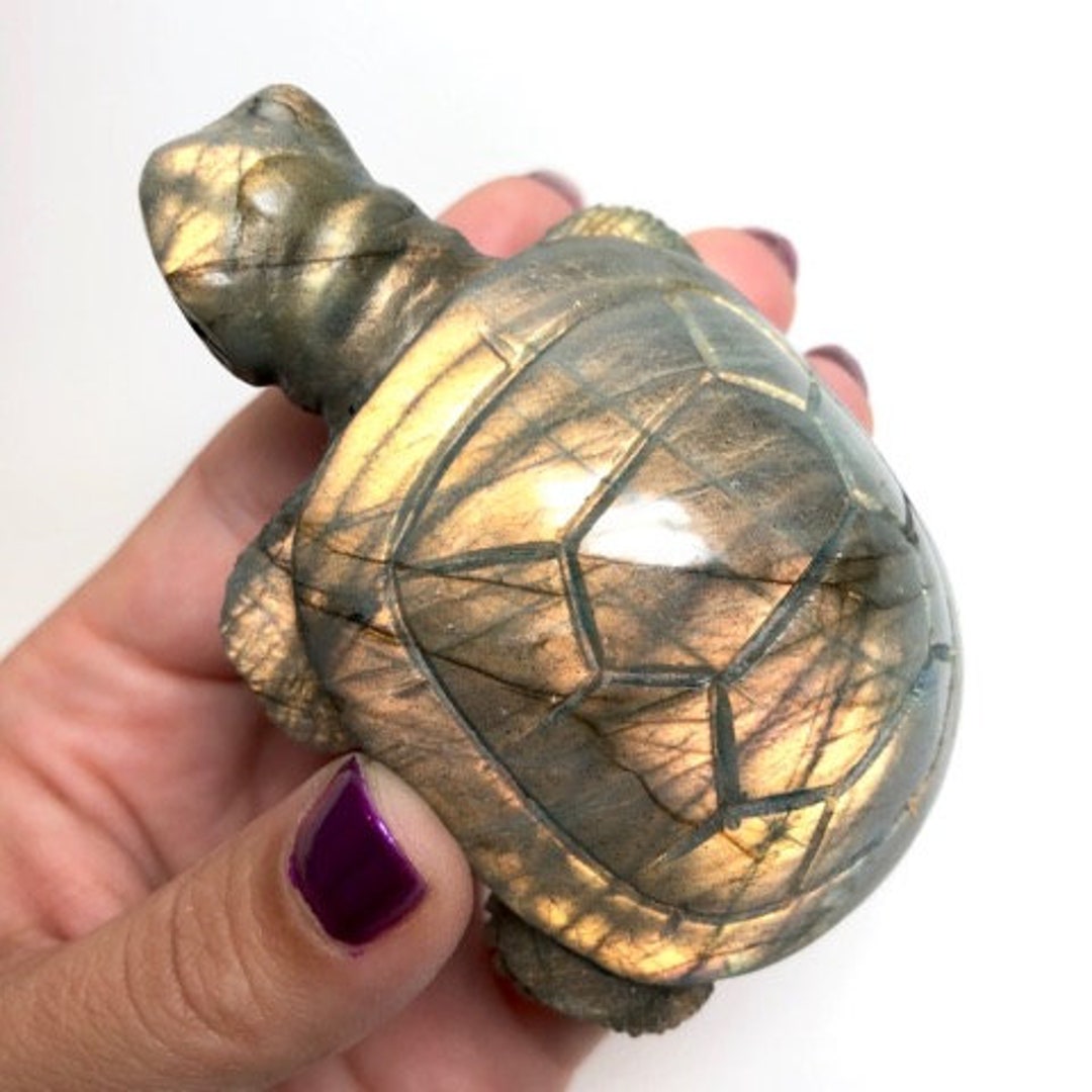Ingesting Rainbows | Golden Hand Carved Labradorite Turtle - Etsy