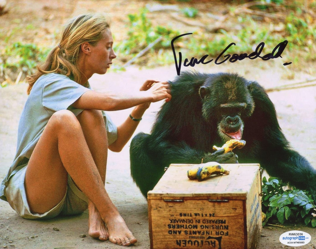 Jane Goodall Autographed Signed 8x10 Photo - Etsy