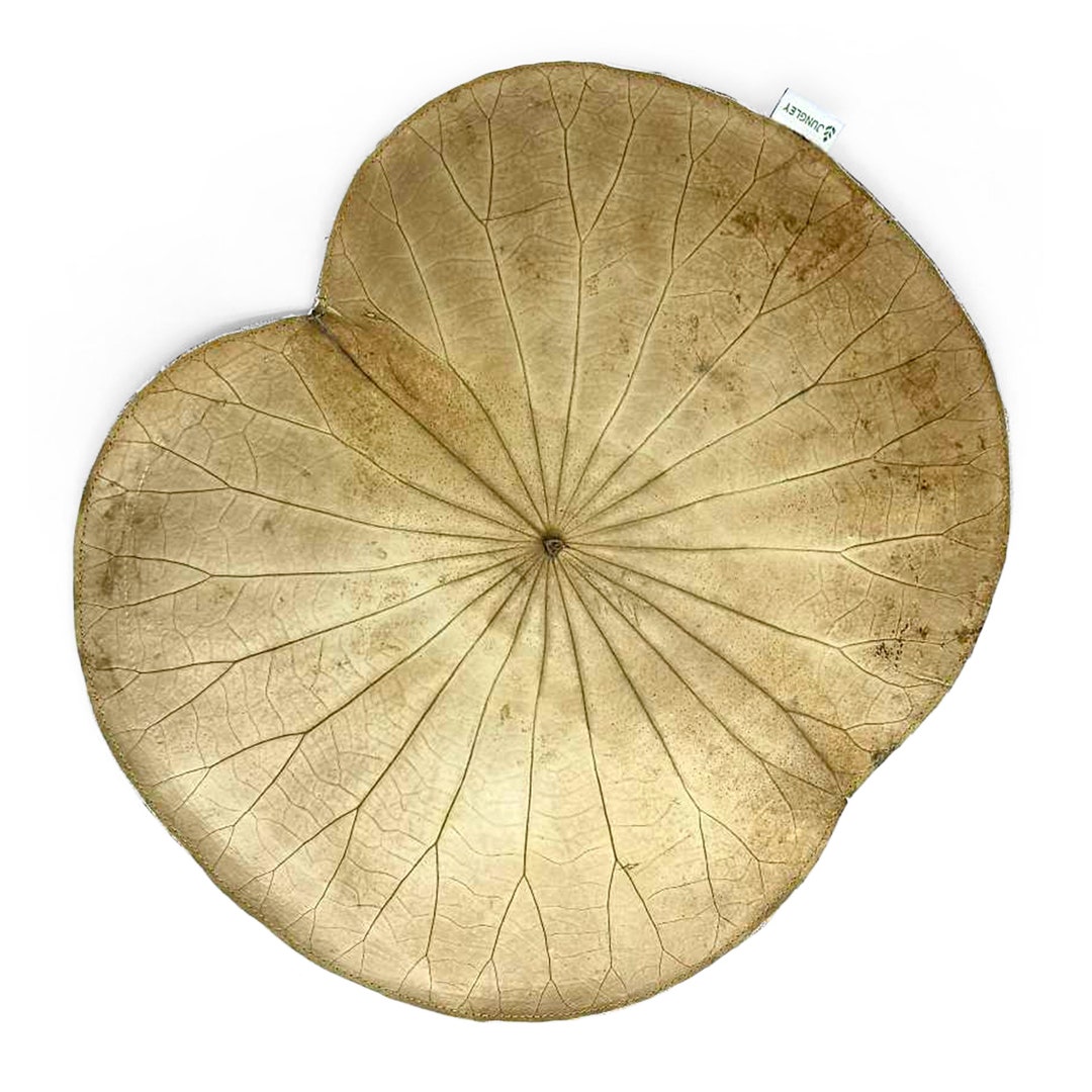 Natural Lotus Leaf Placemats Set of Four - Etsy