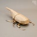 3 Beetles Pack Paper Model,papercraft,diy,low Poly,pdf Papercraft ...