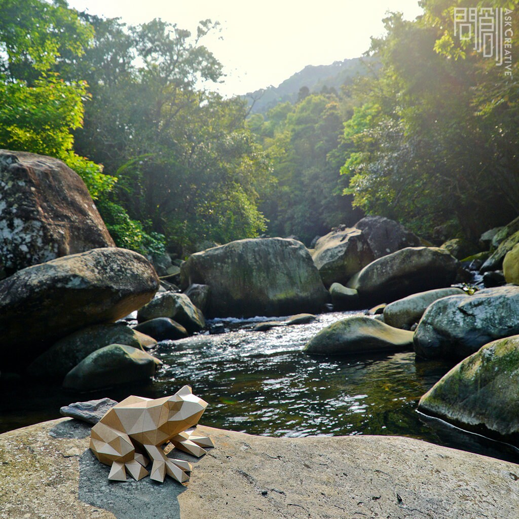 Frog Paper Model papercraft DIY Low Poly PDF Papercraft - Etsy Canada
