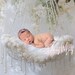 Newborn Baby Digital Backdrop White Hanging Cradle Floweral Pearls ...