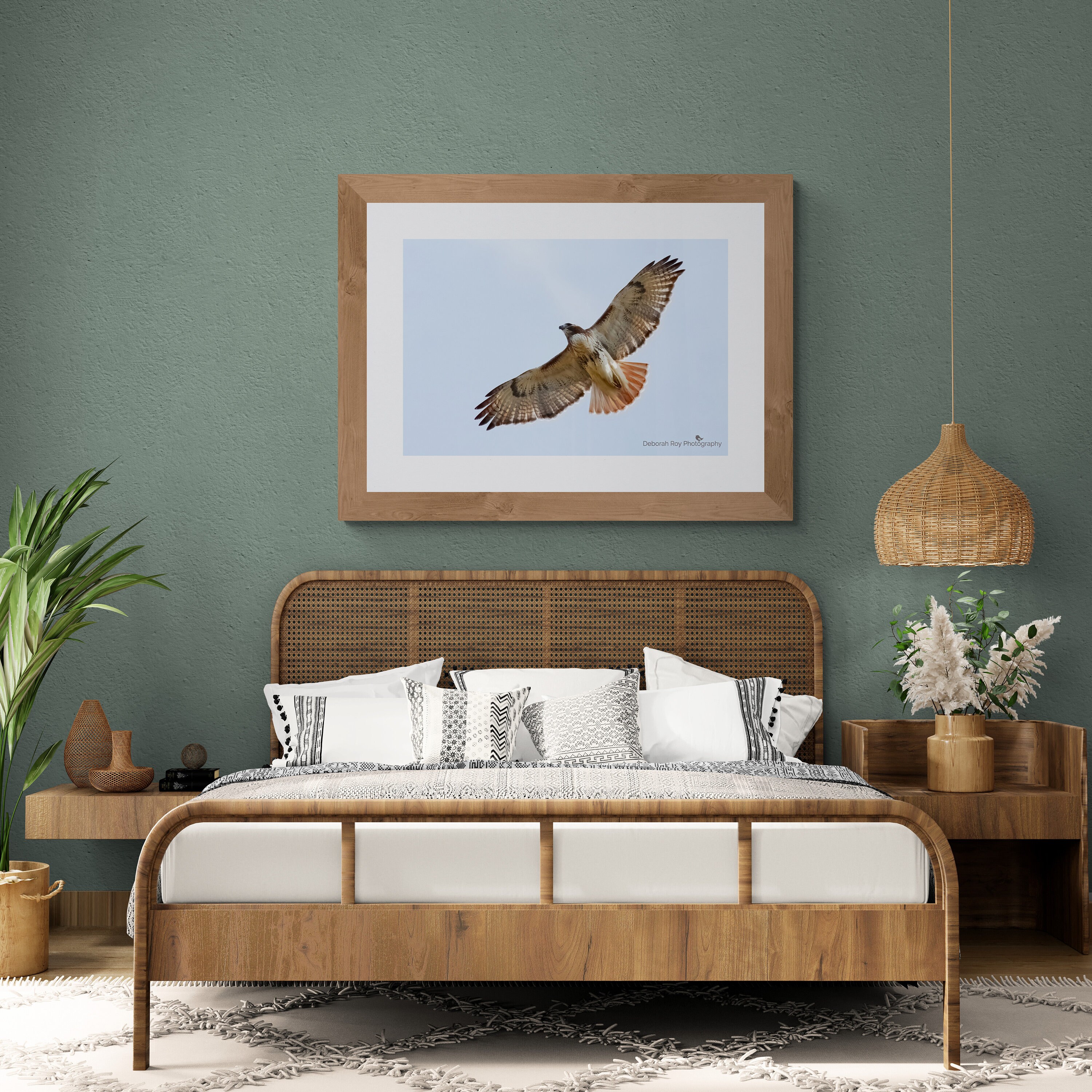 Red Tailed Hawk Fine Art Print Photograph Photo Gift Red Red Tail Bird ...
