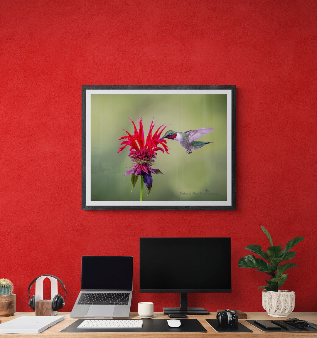 Hummingbird Fine Art Photograph Print Photo Photgraphy Ruby-throated ...