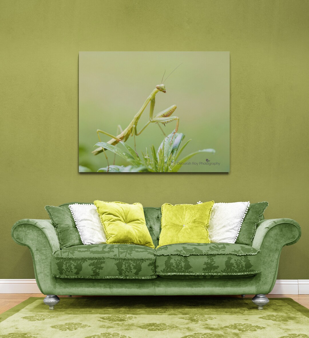 Praying Mantis Photograph Print Portrait Fine Art Wall Canvas Giclee ...