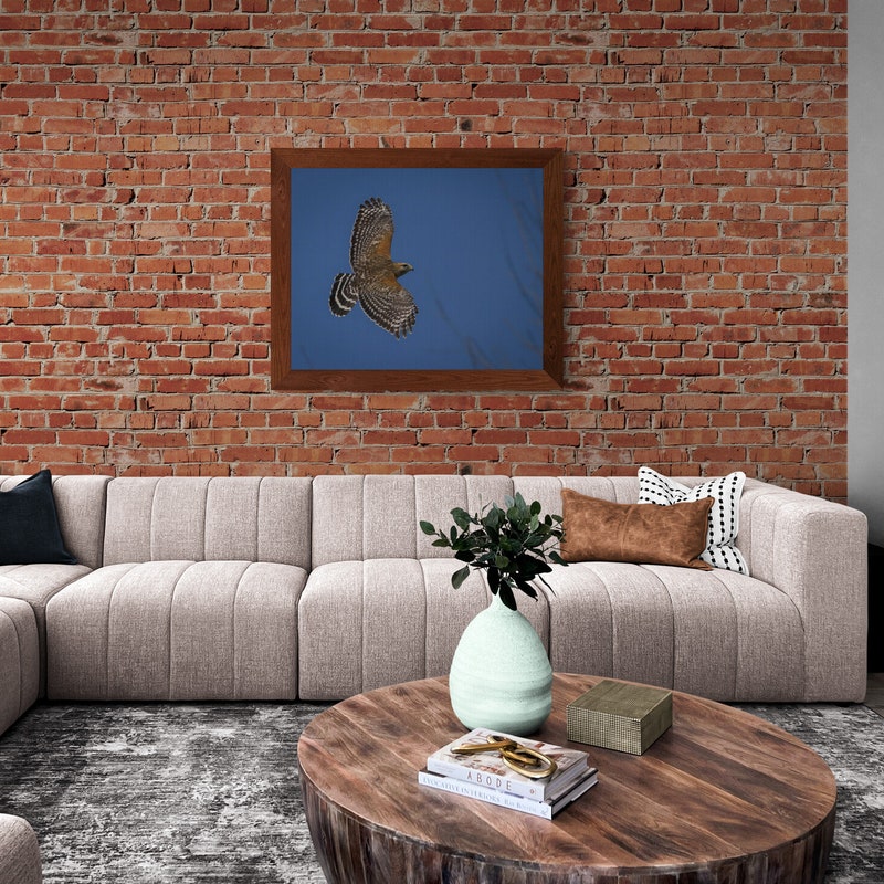 Metal Hawk Wall Art - Etsy