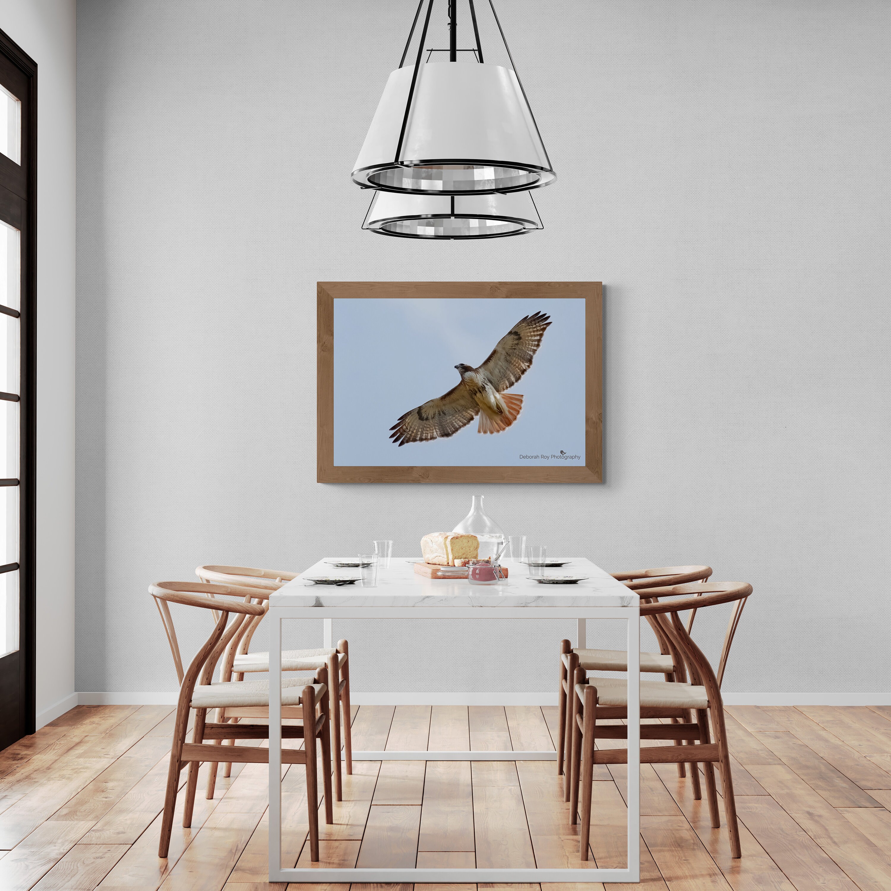 Red Tailed Hawk Fine Art Print Photograph Photo Gift Red Red Tail Bird ...
