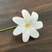 Tiare Foam Flower, Ear Flower / Tahitian Gardenia, Pinwheel Tiare ...