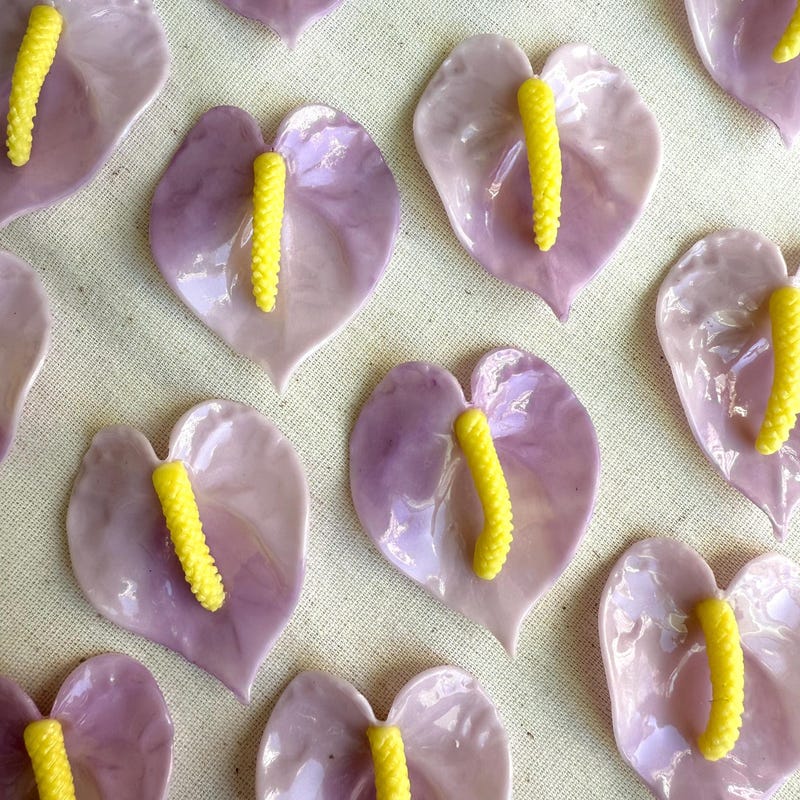 Anthurium Lavender - Etsy