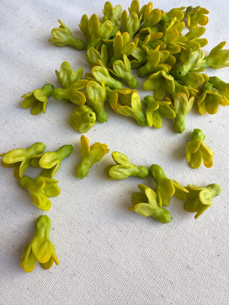 Life-like Green Pakalana Clay Flowers for Jewelry Making, Gradient ...