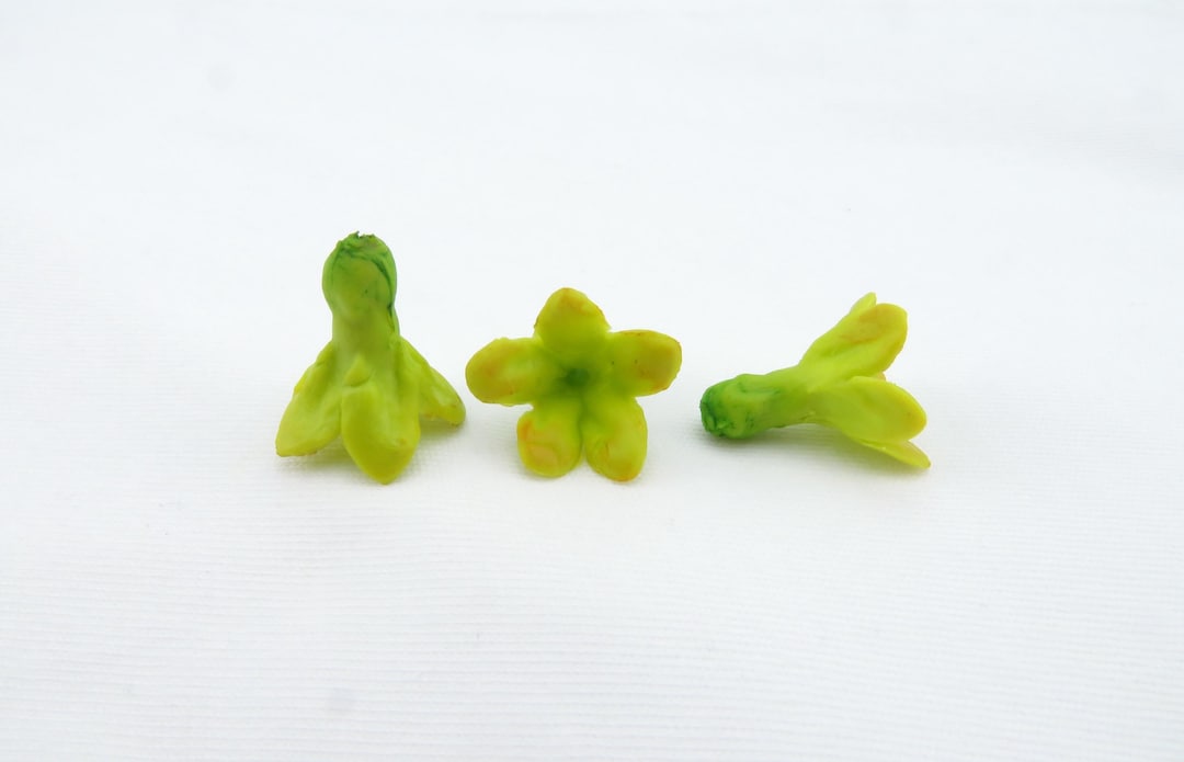 Life-like Green Pakalana Clay Flowers for Jewelry Making, Gradient ...