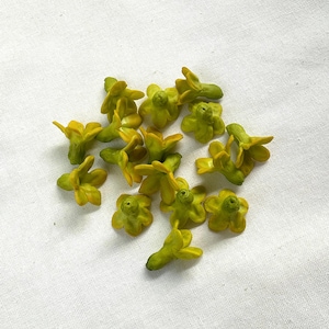 Life-like Green Pakalana Clay Flowers for Jewelry Making, Gradient ...