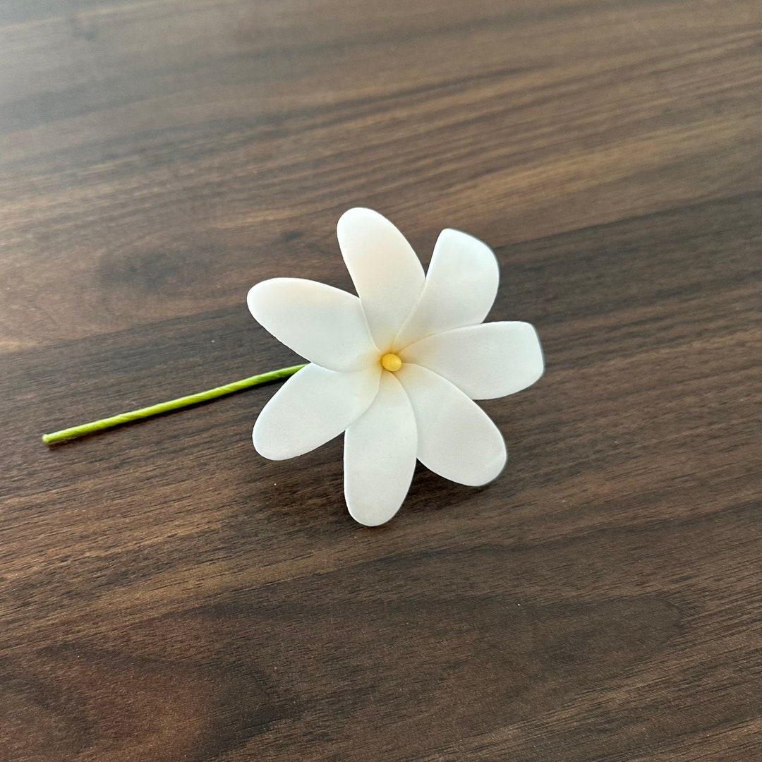 Tiare Foam Flower, Ear Flower / Tahitian Gardenia, Pinwheel Tiare ...