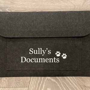 Personalised Pet Document Folder, Custom Made, Vet Notes, Dog/cat ...