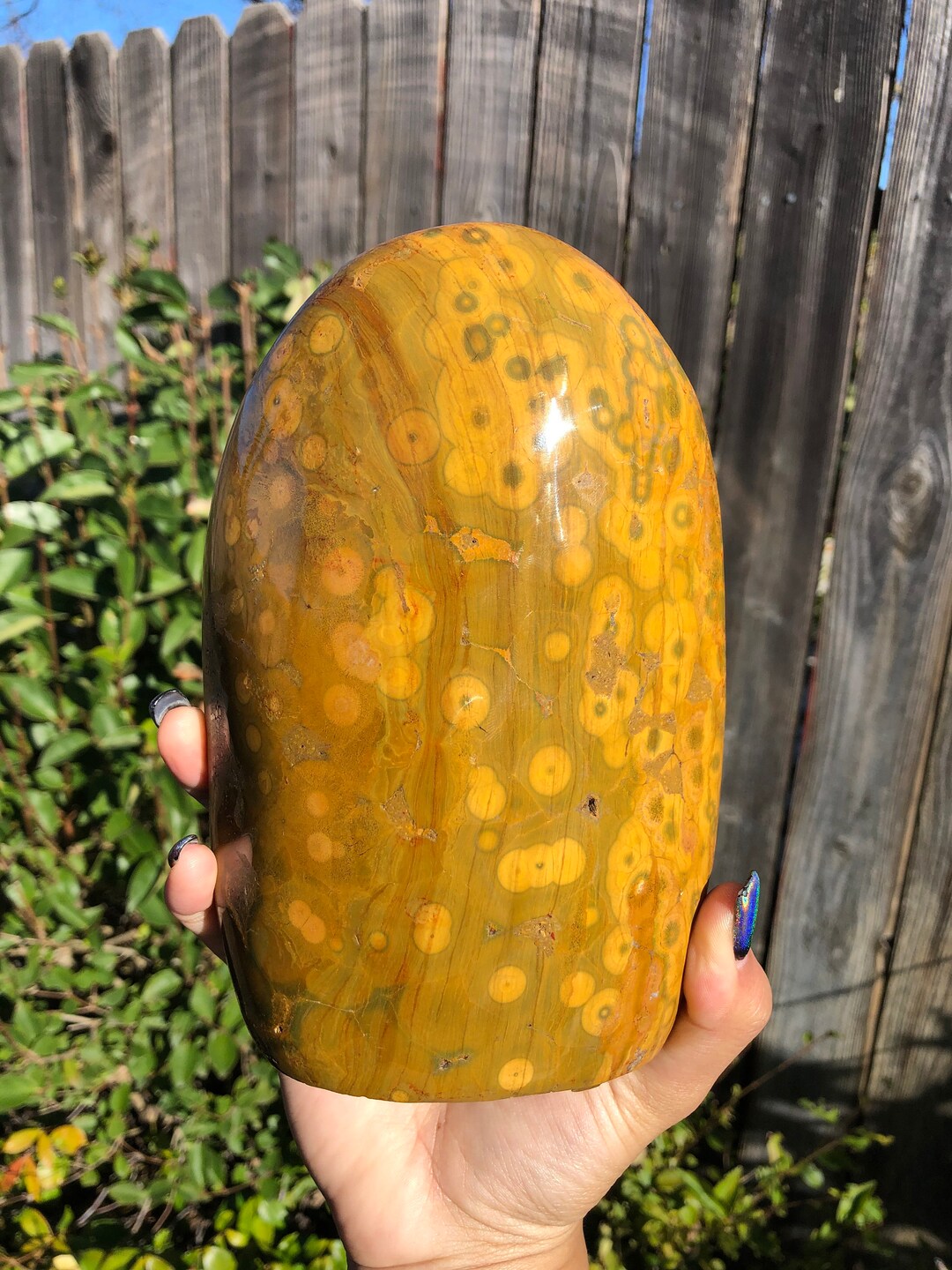 Amazing Ocean Jasper Large Freeform With Perfect Orbs - Etsy