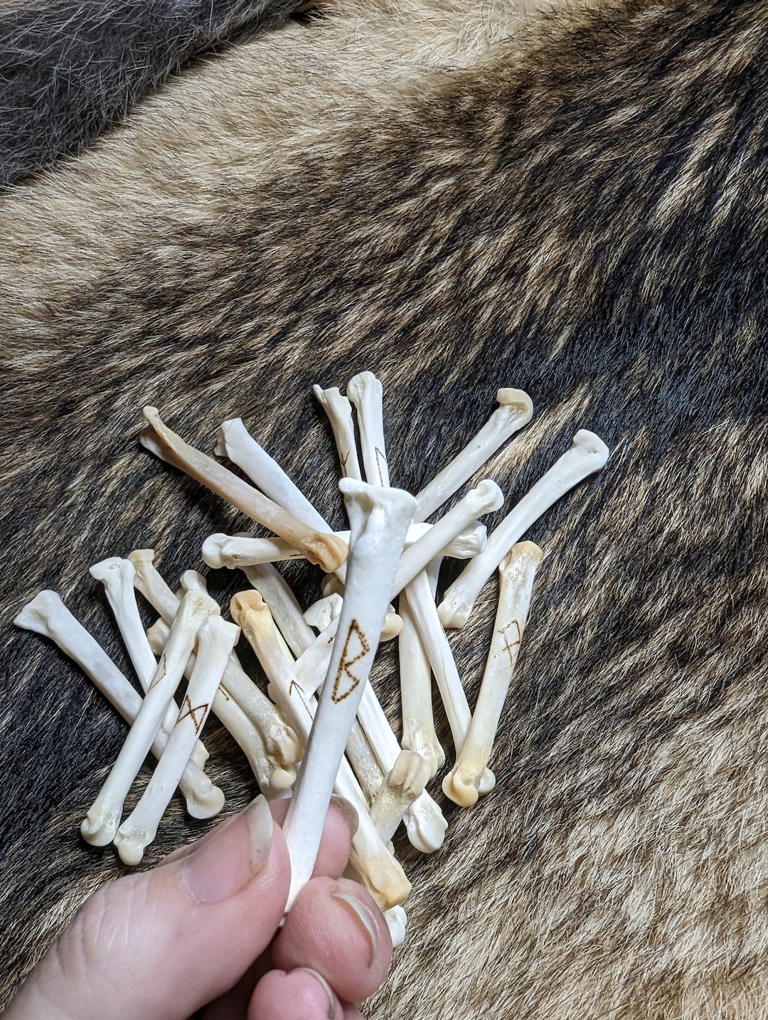 Bone Runesticks Elder Futhark Rune Set - Etsy