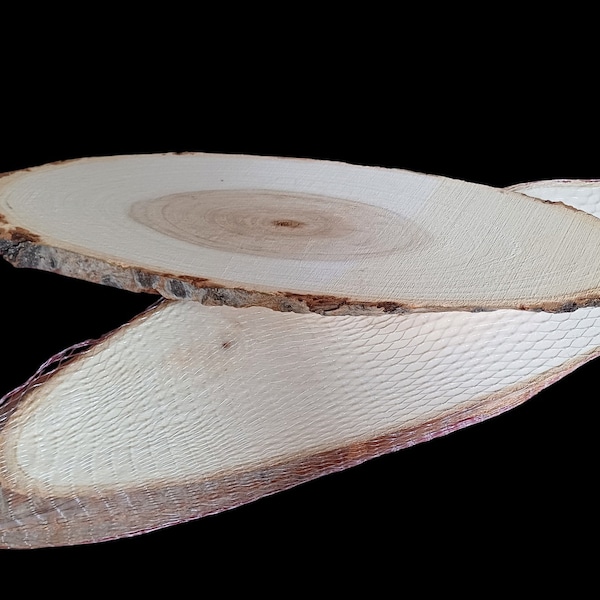 Large Wood Slices - Etsy