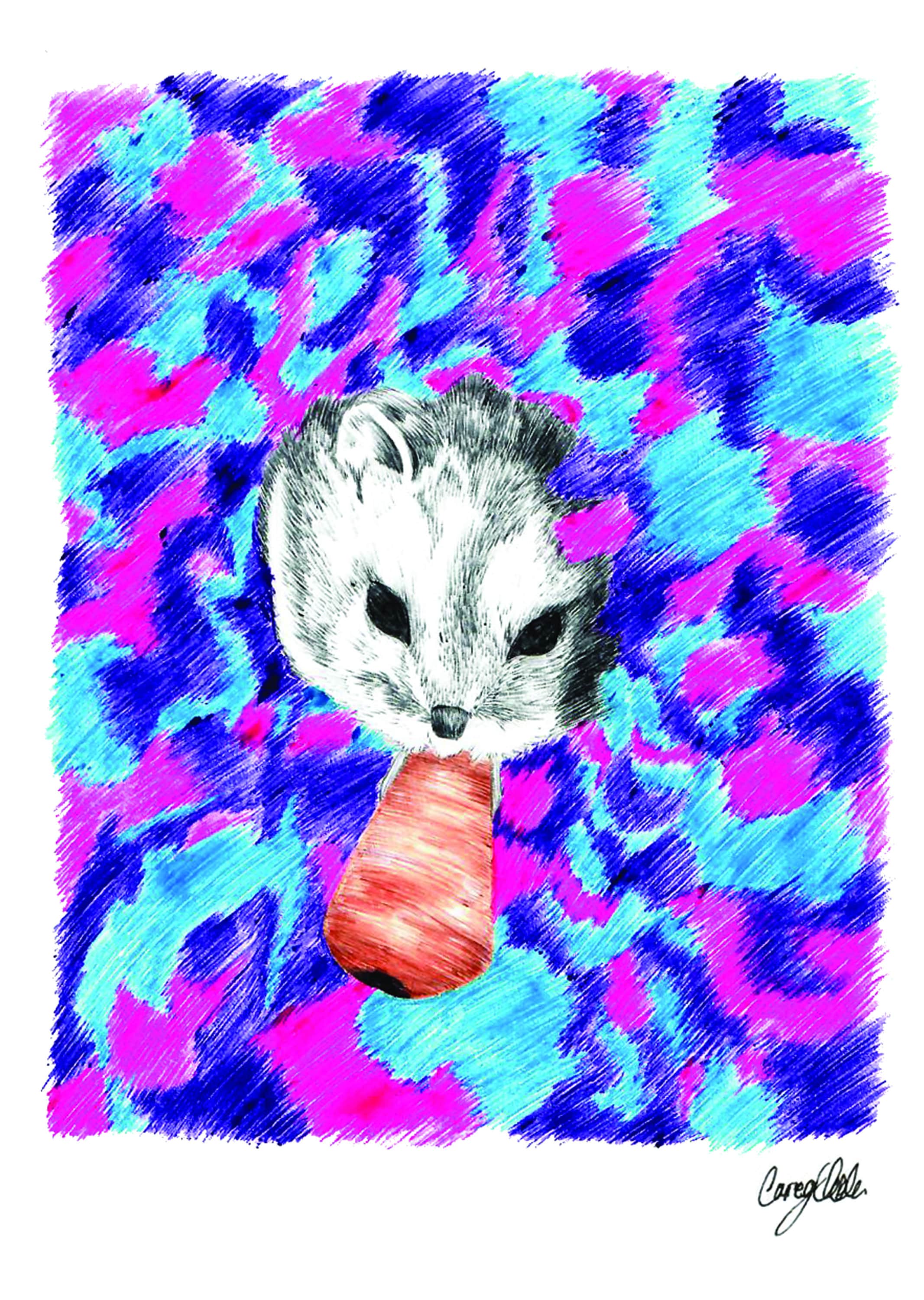 A5 Art Print - Hamster - Etsy