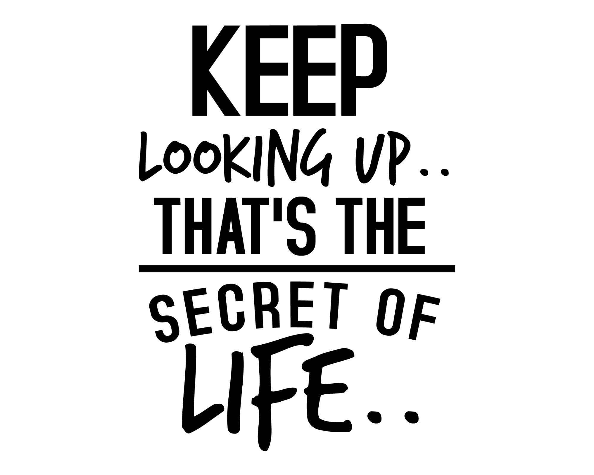 Can Cooler Graphics Keep Looking up That's the Secret of - Etsy