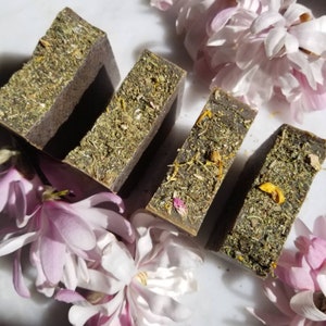 Ayurveda's Gifted Shampoo | Amla + Lemon | Gift Soap | 3 Oz - Etsy
