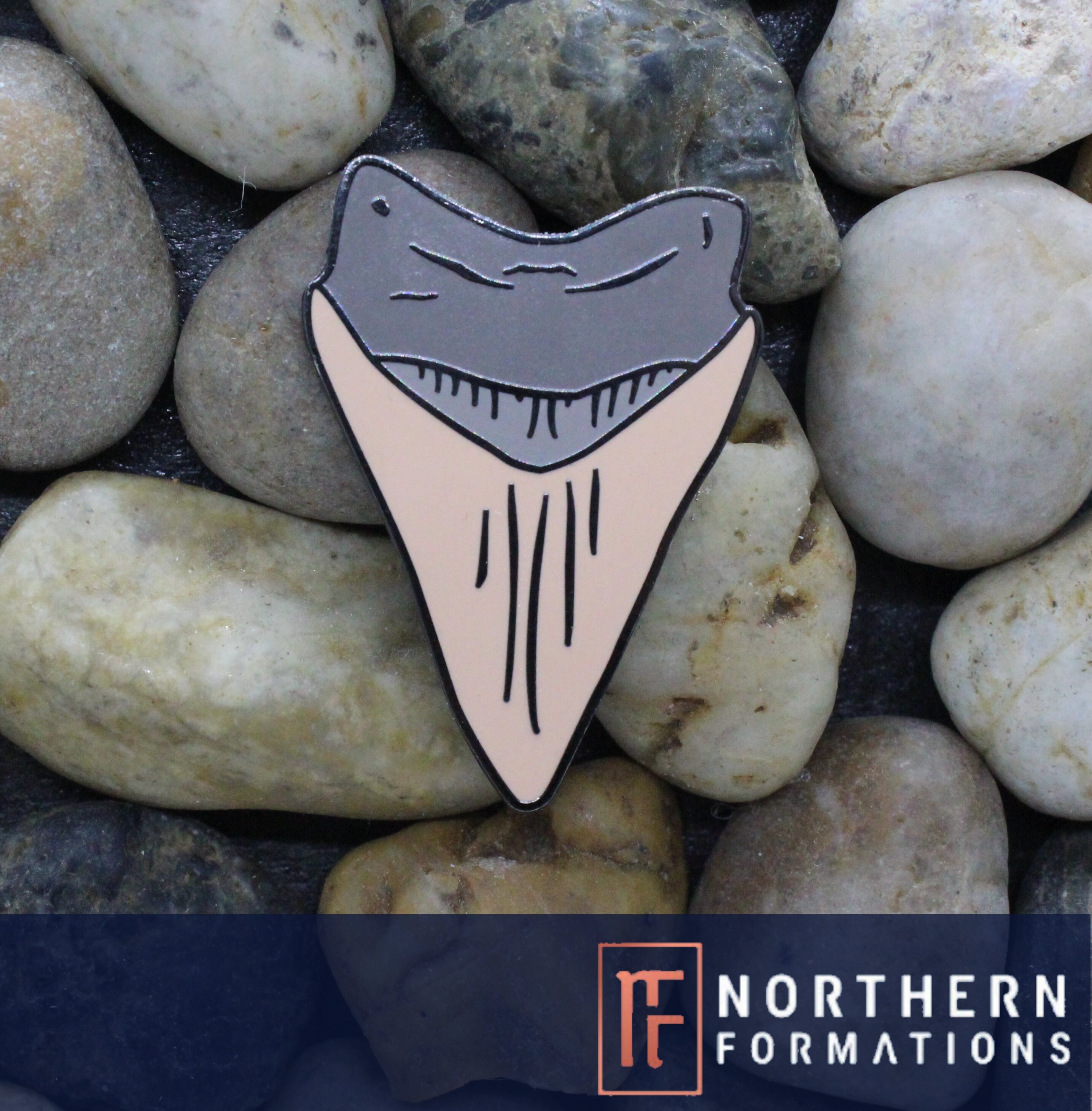 Megalodon Shark Tooth Hard Enamel Pin | Etsy