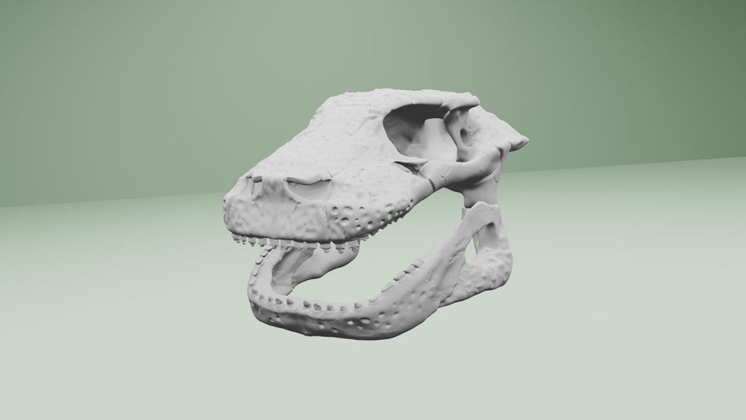 Simosuchus Clarki STL | Prehistoric Crocodyliform 3D Model | Dinosaur ...
