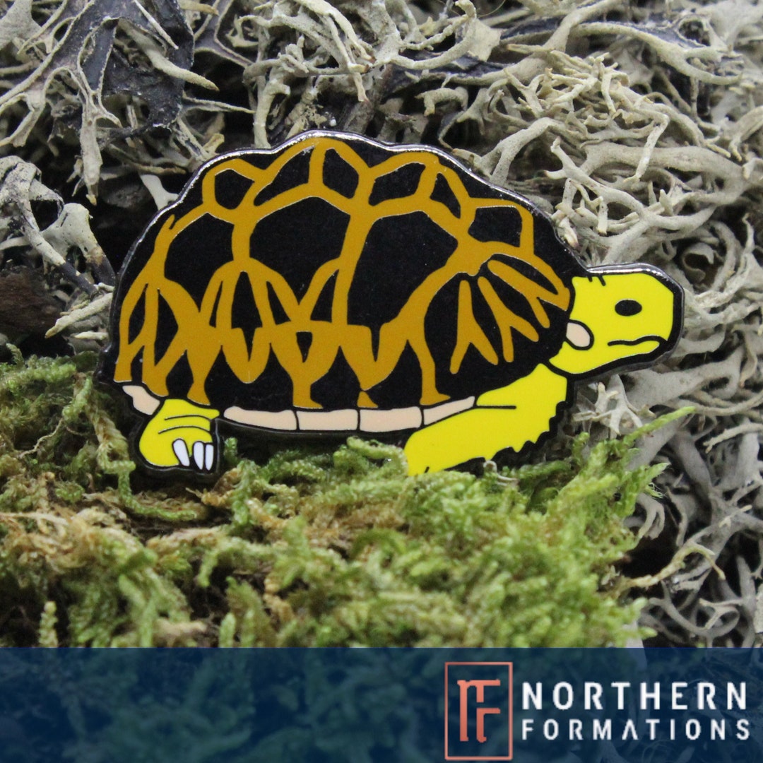 Star Tortoise Enamel Pin - Etsy
