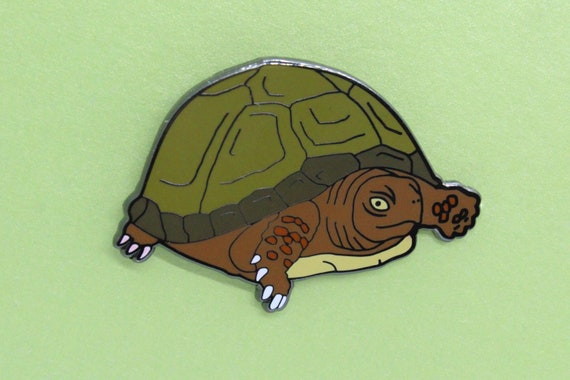 Box Turtle Enamel Pin - Etsy