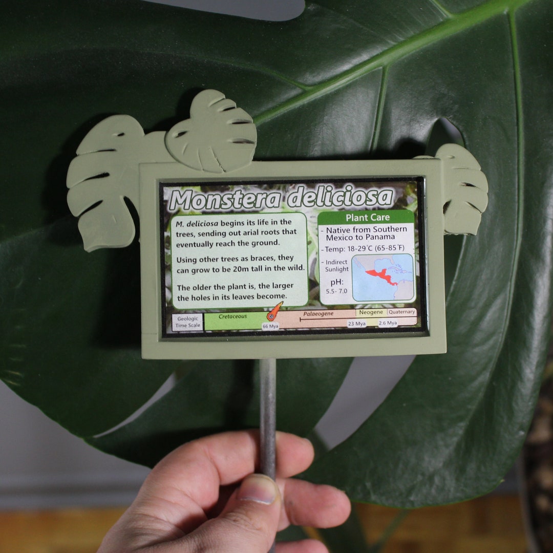 Monstera Plant ID Label - Zoo Display Sign - Etsy