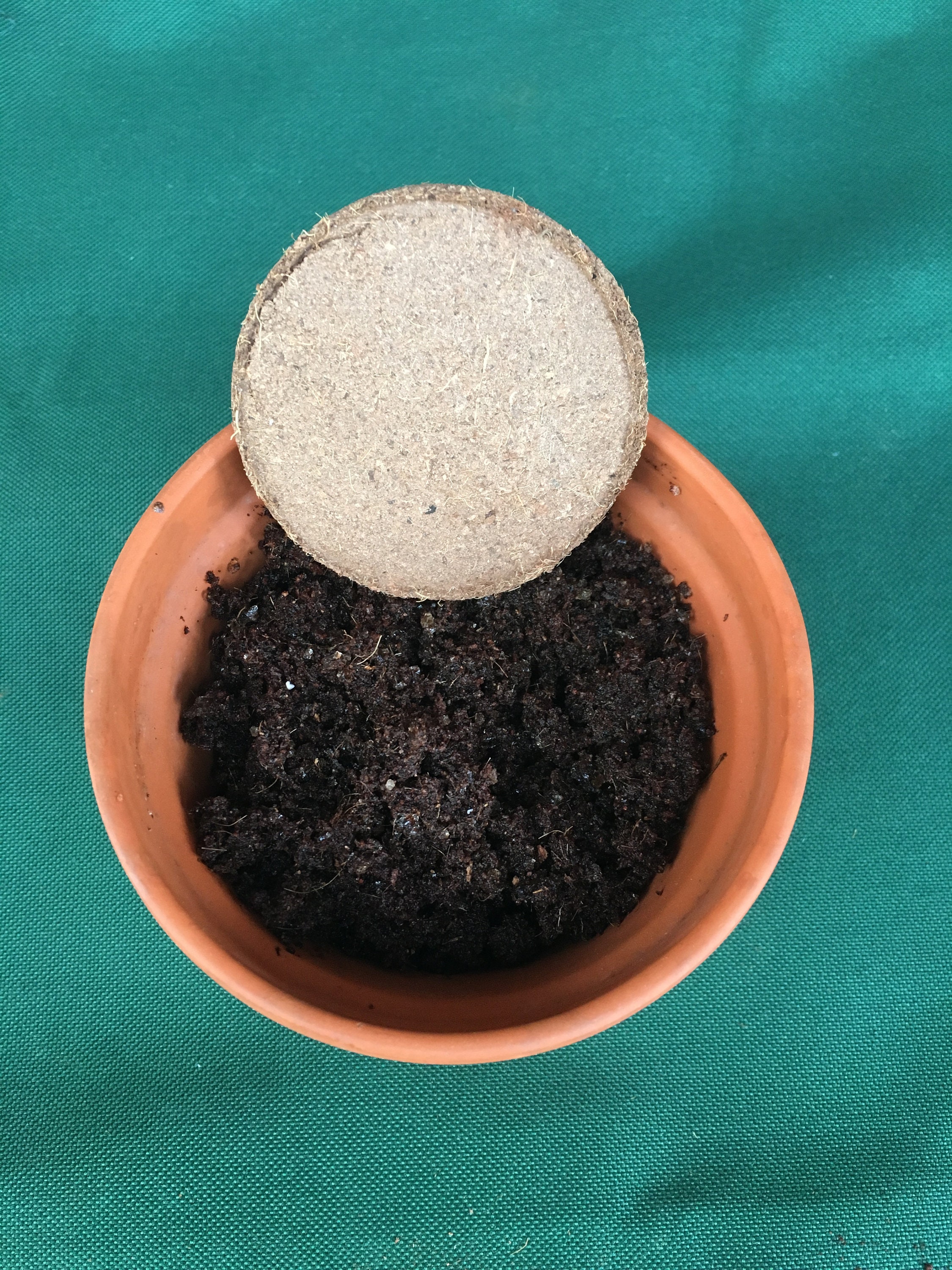 Compressed Potting Soil for Indoor Plants - Etsy
