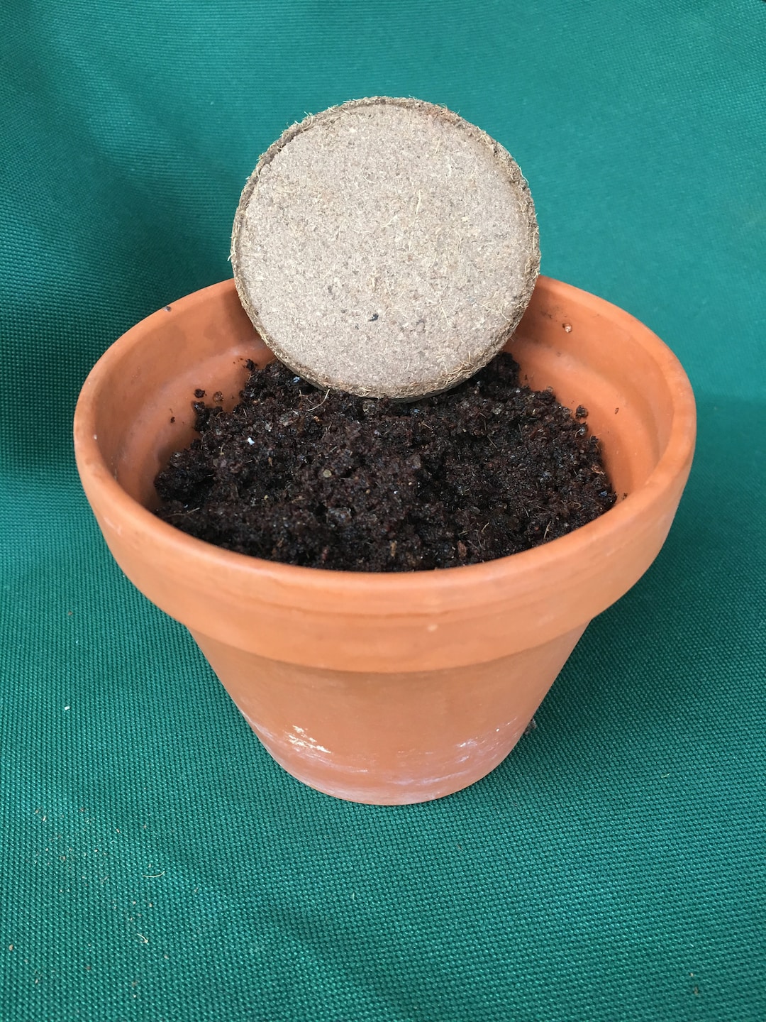 Compressed Potting Soil for Indoor Plants - Etsy