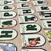 The Jungle Book Themed Banner - Etsy