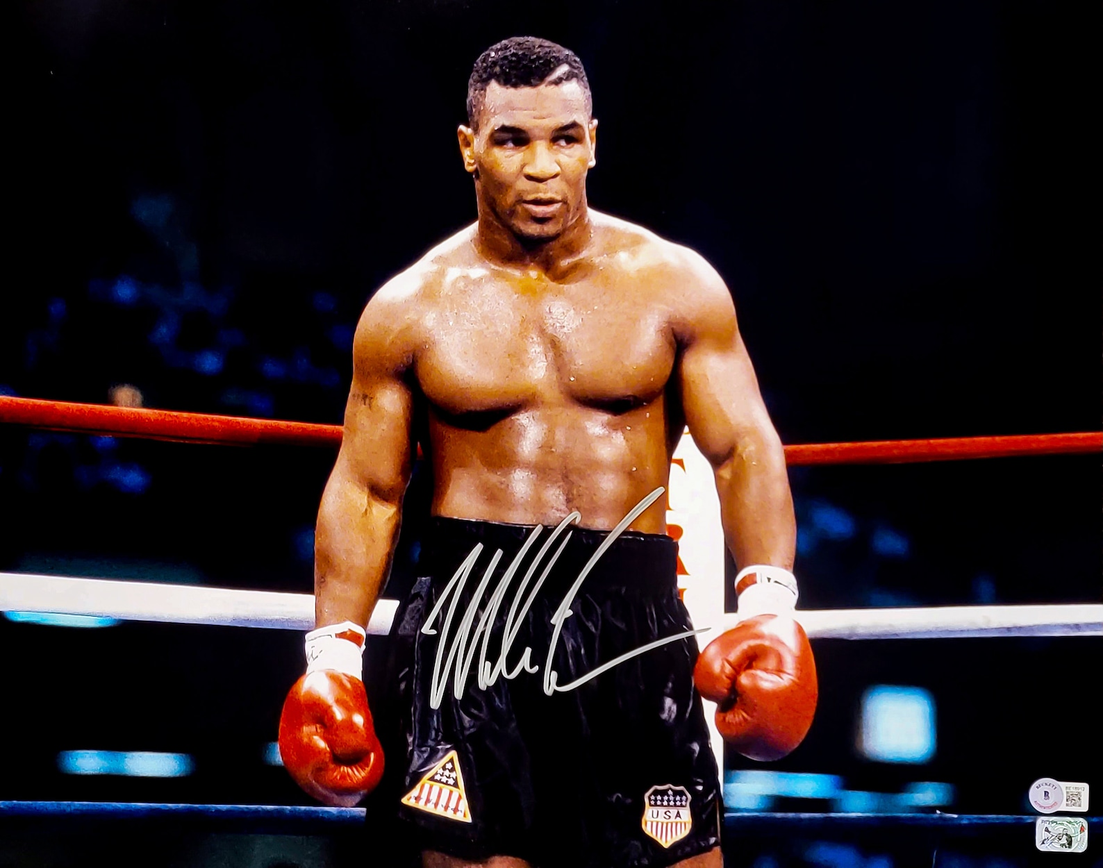 Mike Tyson Autographed Signed 16x20 Photo Beckett COA - Etsy