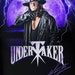 Undertaker Autographed Signed WWE Wrestling 16x20 Photo JSA COA - Etsy