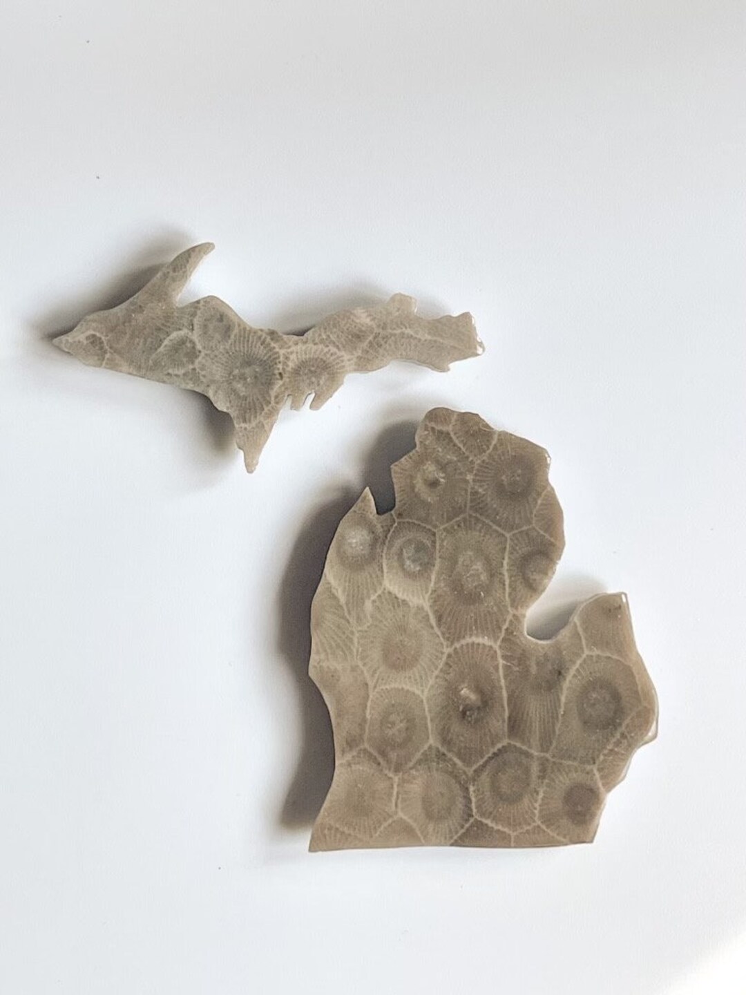 Michigan Shaped Petoskey Stone Magnets - Buy as a Set or Individually ...