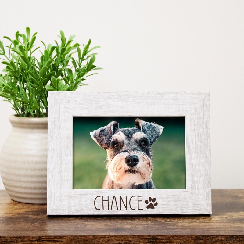 Dog Pictures - Etsy