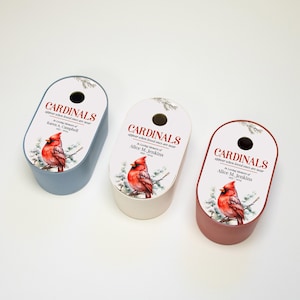 Cardinal Bird House Memorial | Garden Remembrance Gift | Personalized ...