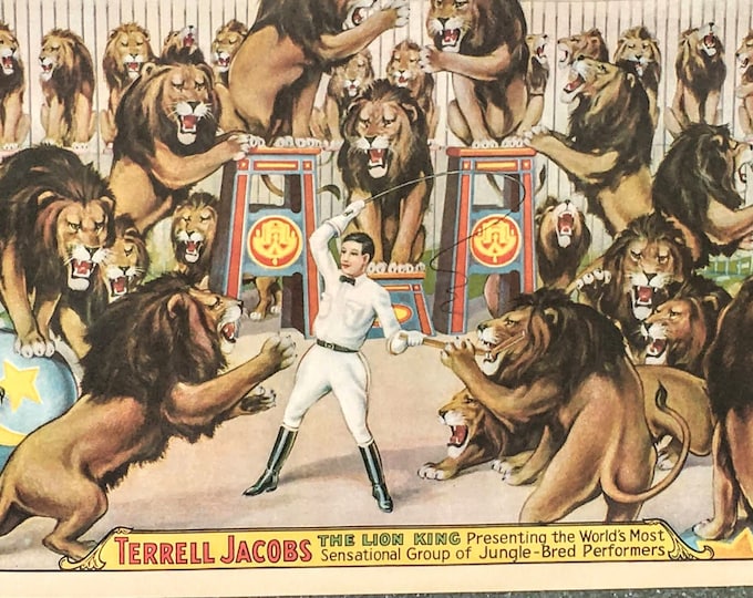 24" Ringling Brothers Circus Poster of Terrell Jacobs the Lion King ...