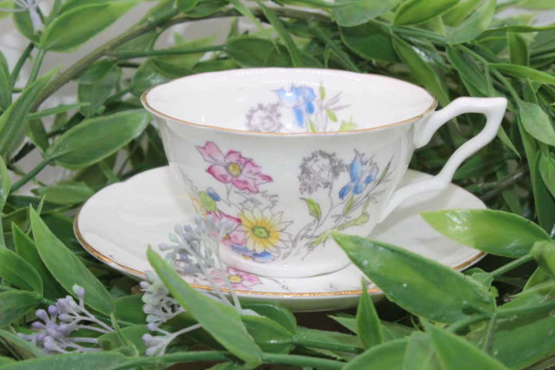 Vintage Spencer Stevenson Wildflowers Cup and Saucer Set/ Floral Teacup ...