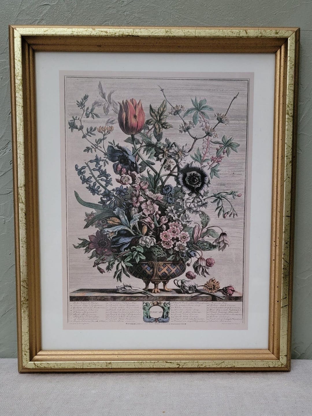 Vintage Robert Furber Framed Botanical 12 Months of Flowers FEBRUARY ...