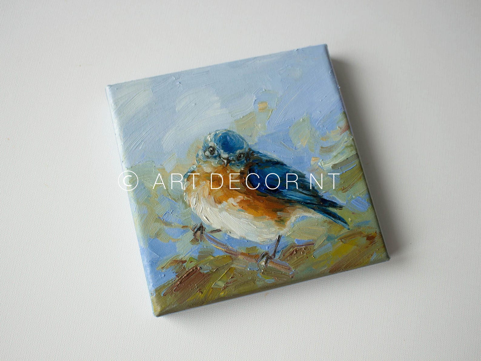 Eastern Bluebird Oil Painting: Small Bird Art on Canvas - Etsy